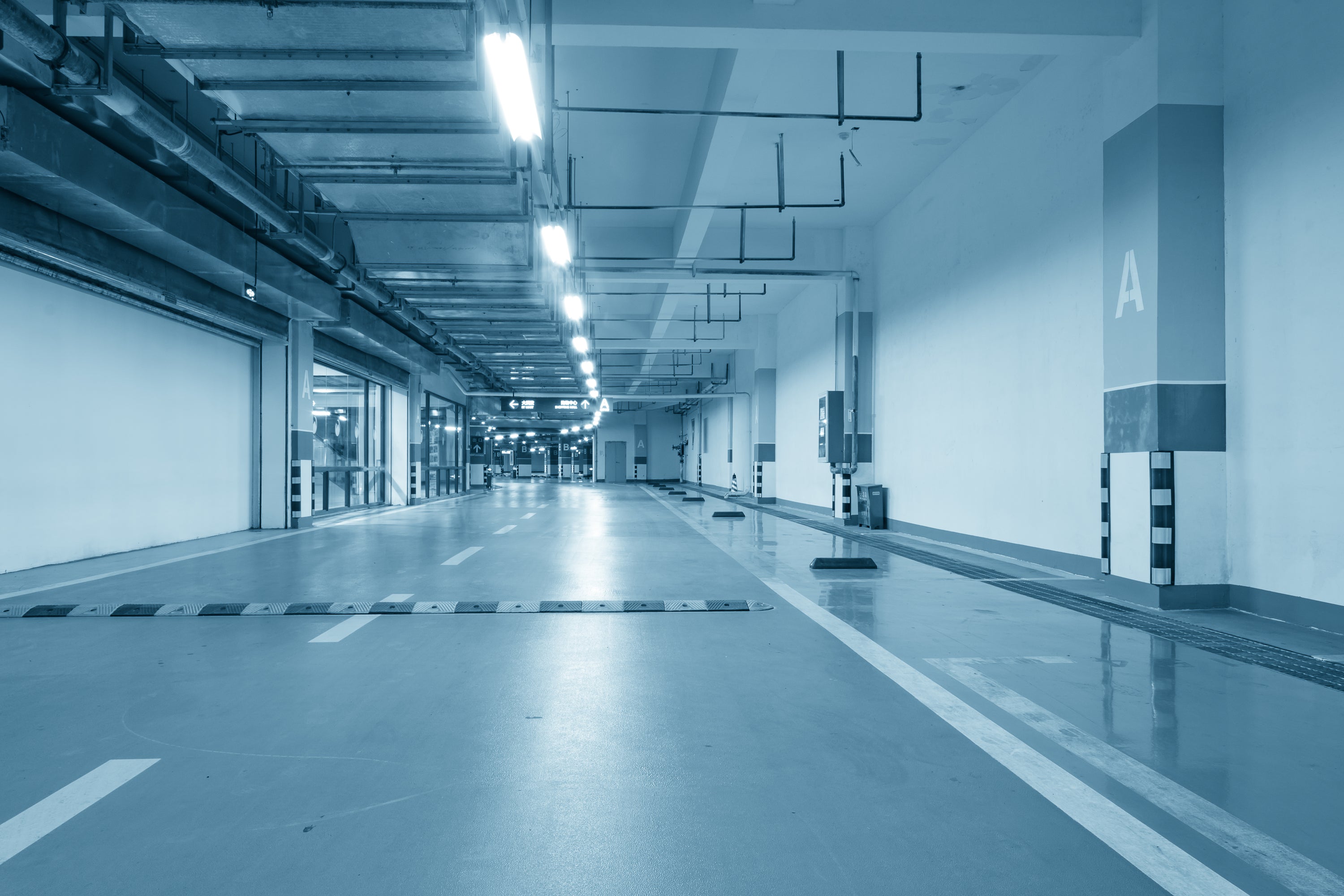 Collections – Bing Light